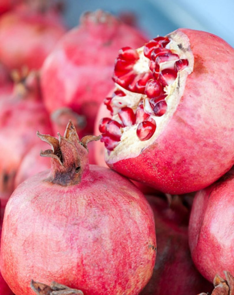 Shega, fruti magjik - JavaNews.al