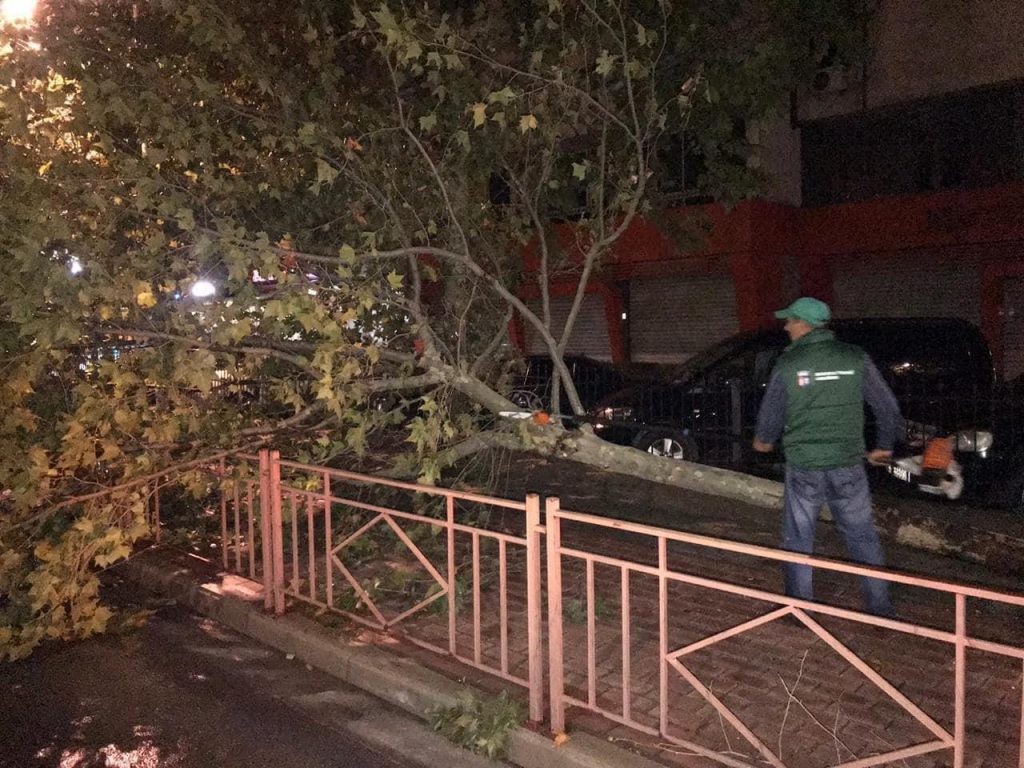 Stuhi shiu dhe erë/ FOTO si i ka rrëzuar pemët stuhia në Tiranë ...